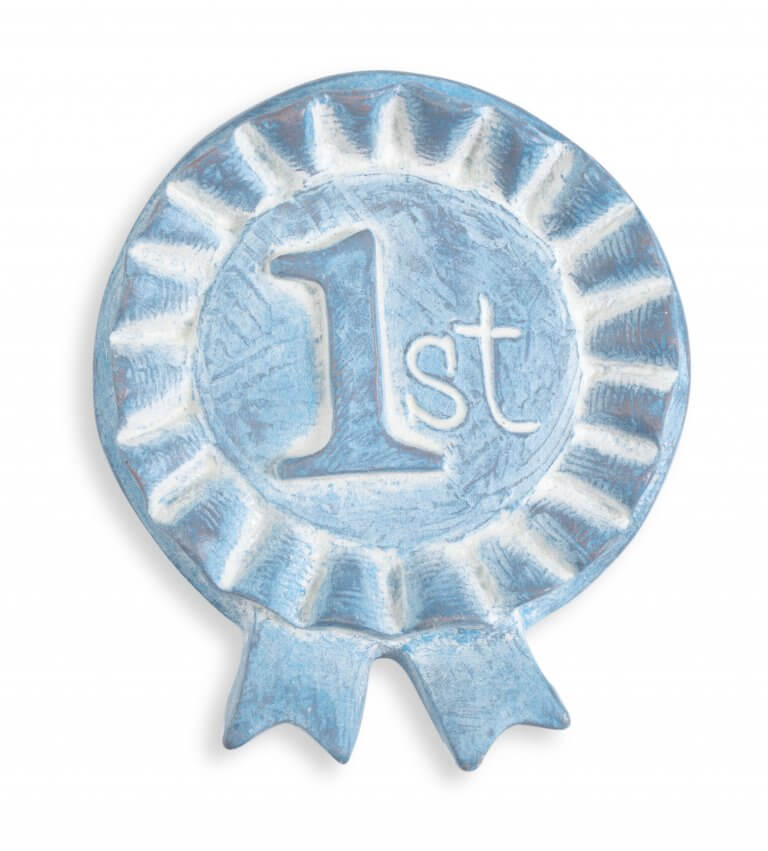 Blue Ribbon Foundation