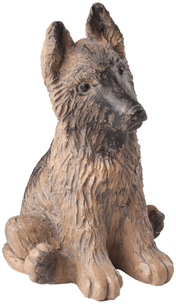 Sea Turtle | Isabel Bloom