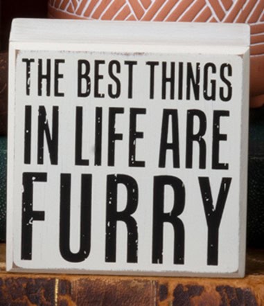 Sign - Furry | Isabel Bloom