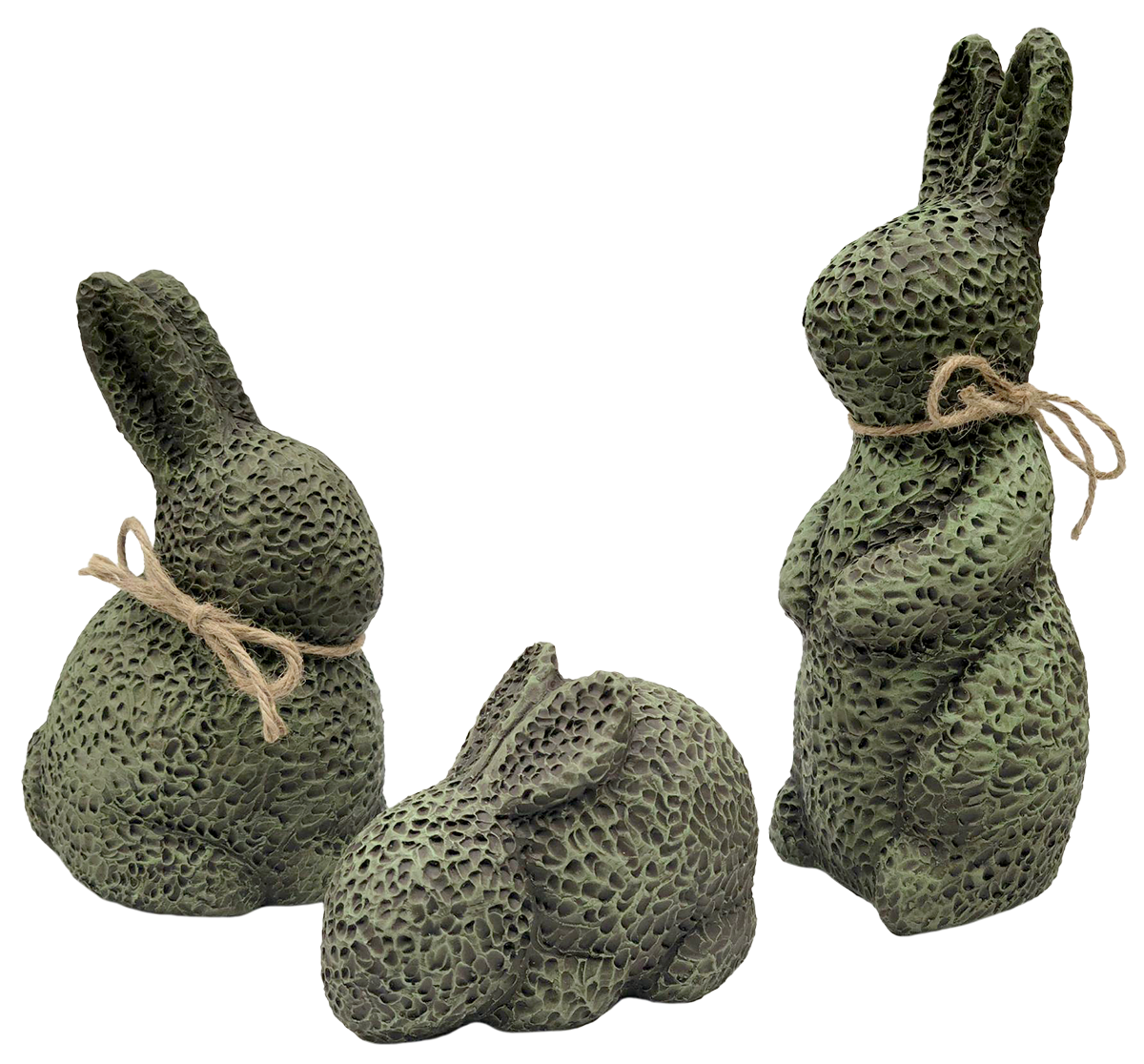 New Designs | Isabel Bloom