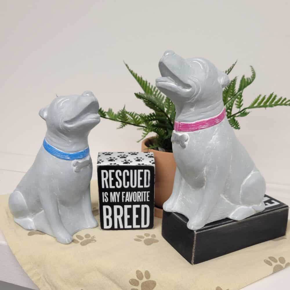 Pibble Rescue Dog | Isabel Bloom