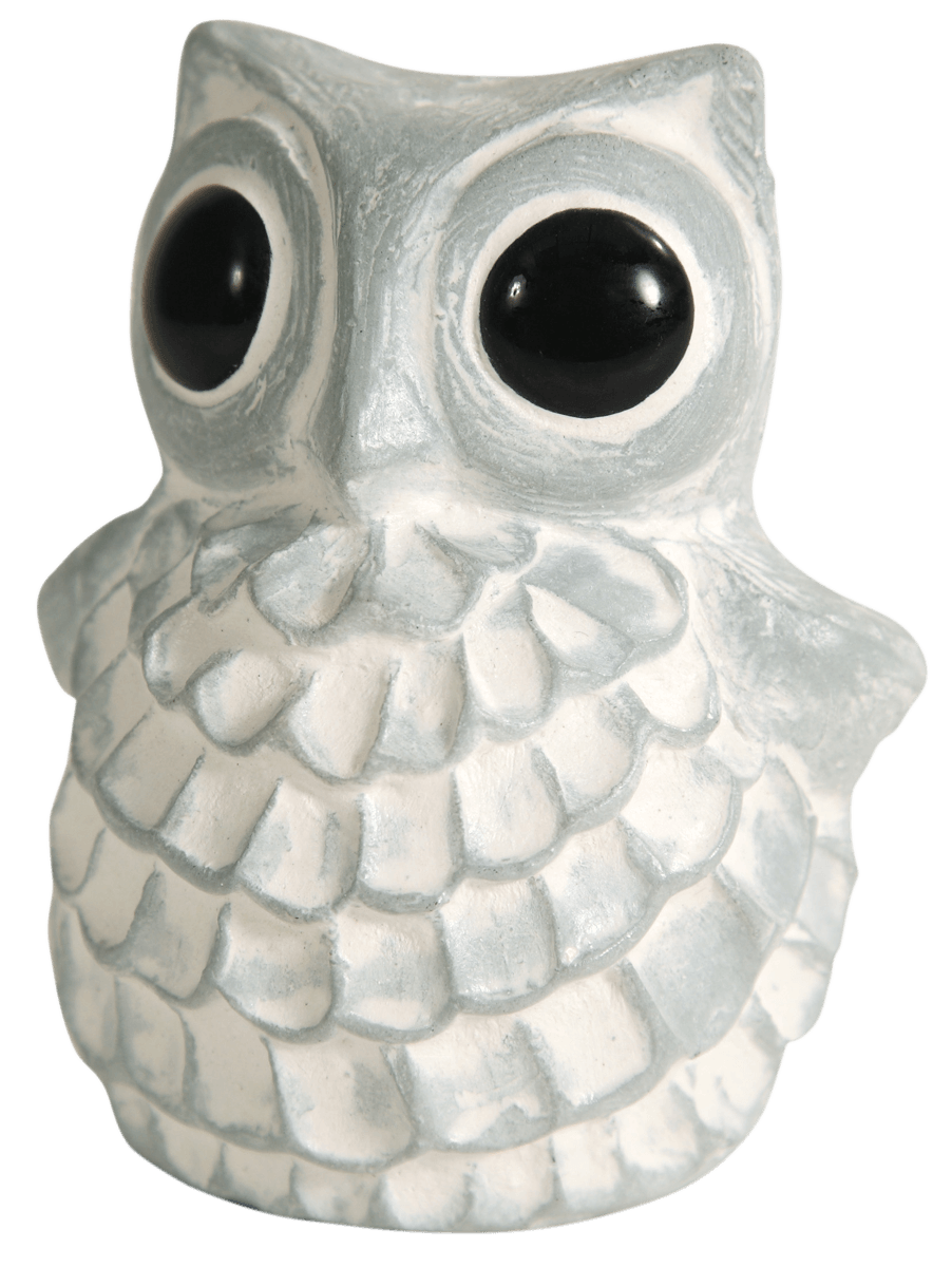 Sea Turtle | Isabel Bloom