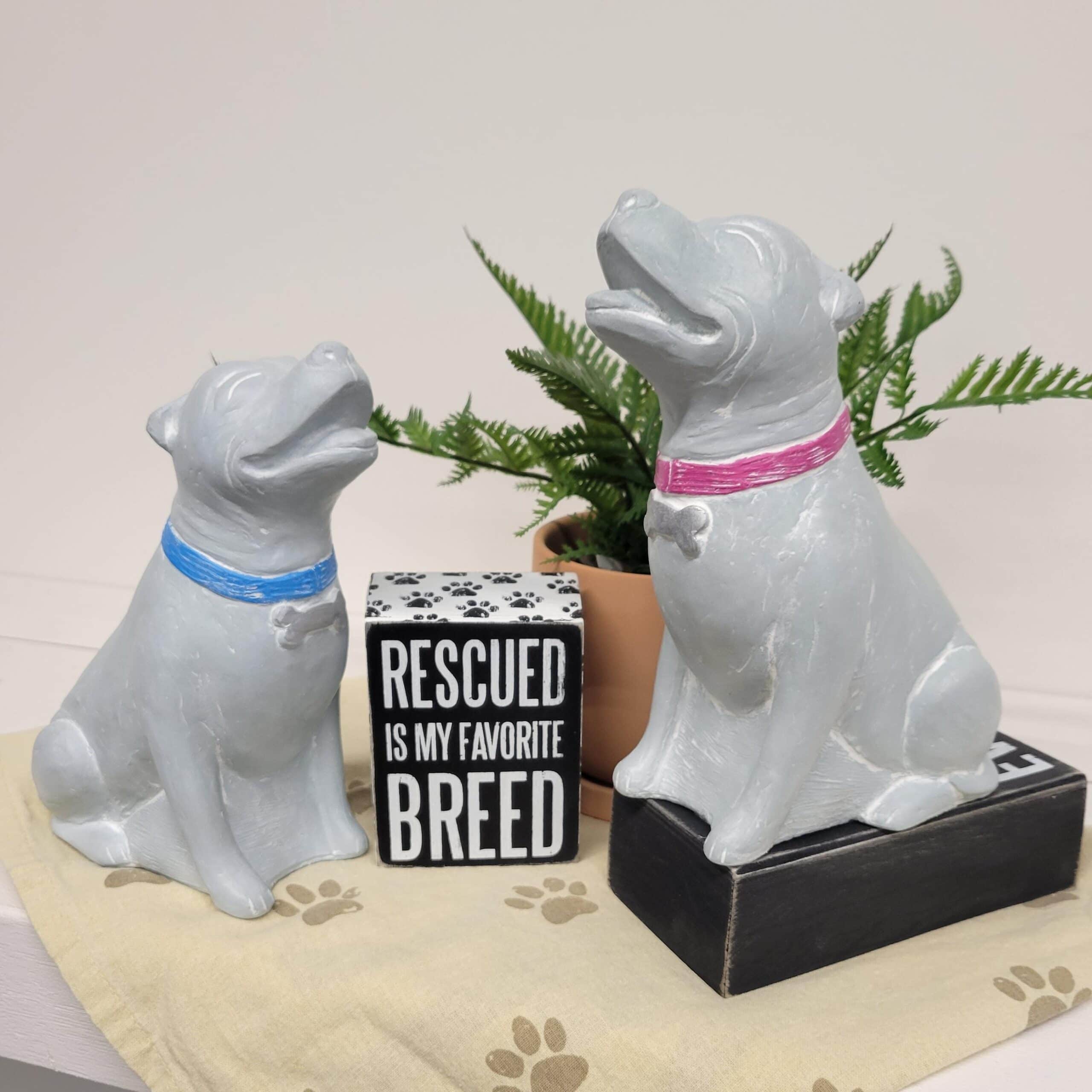 Pibble Rescue Dog | Isabel Bloom